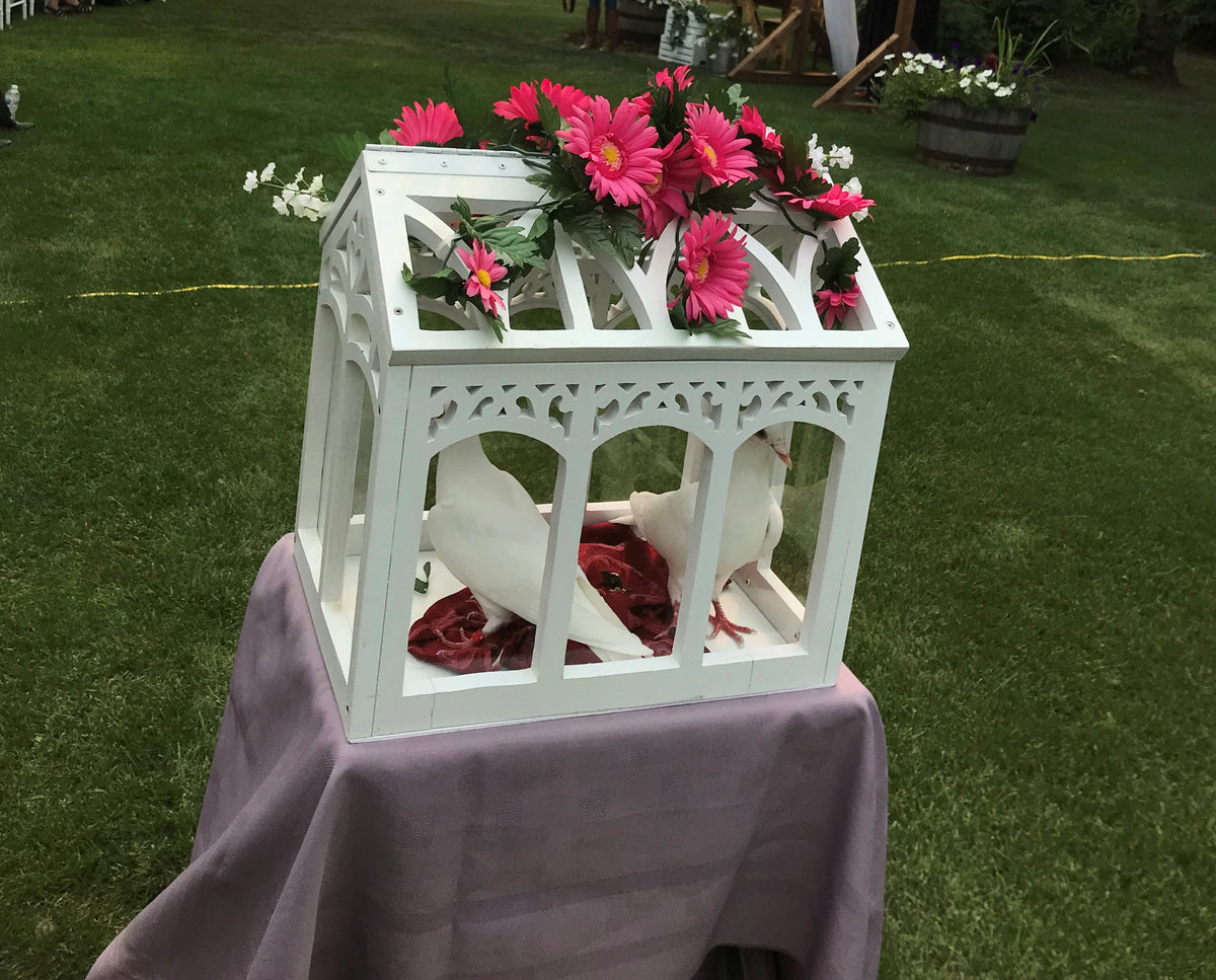 Dove Release – NorthStar Doves